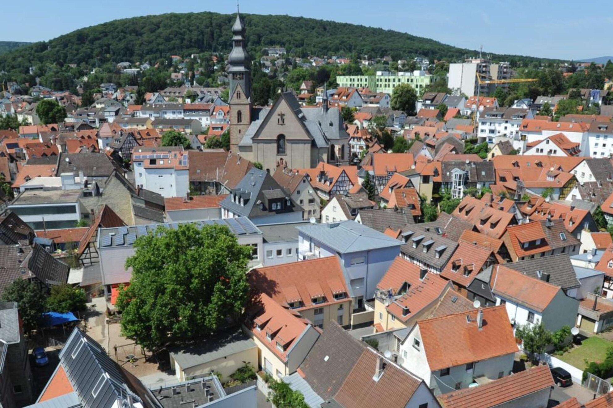 Hofheim am Taunus: Verwaltung
